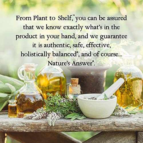 Nature's Answer Goldenseal Root | Herbal Supplement | Supports A Healthy Immune System | Gluten-Free & Alcohol-Free 1oz