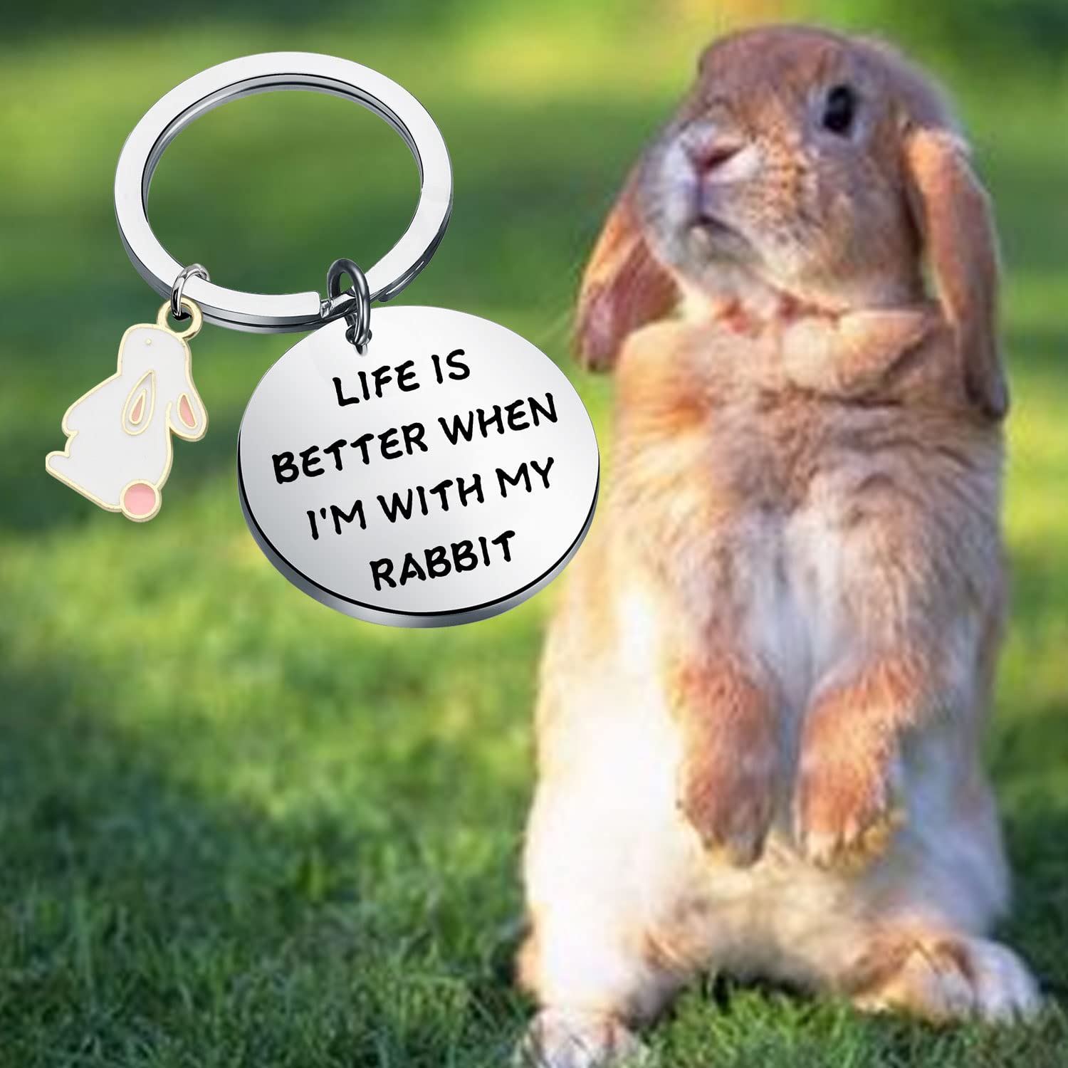 WSNANG Rabbit Keychain Life Is Better When I'm With My Rabbit Jewelry Pet Gift Easter Gift for Bunny Lover Gift (With My Rabbit KY)