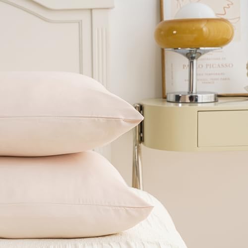 NiNi ALL Bedding Queen Pillow Cases 4 Pack 100% Brushed Microfiber Beige Pillowcases Soft & Breathable All seasons Pillow Covers with Envelope Closure for Women Men, Queen Size 20x30 Inches