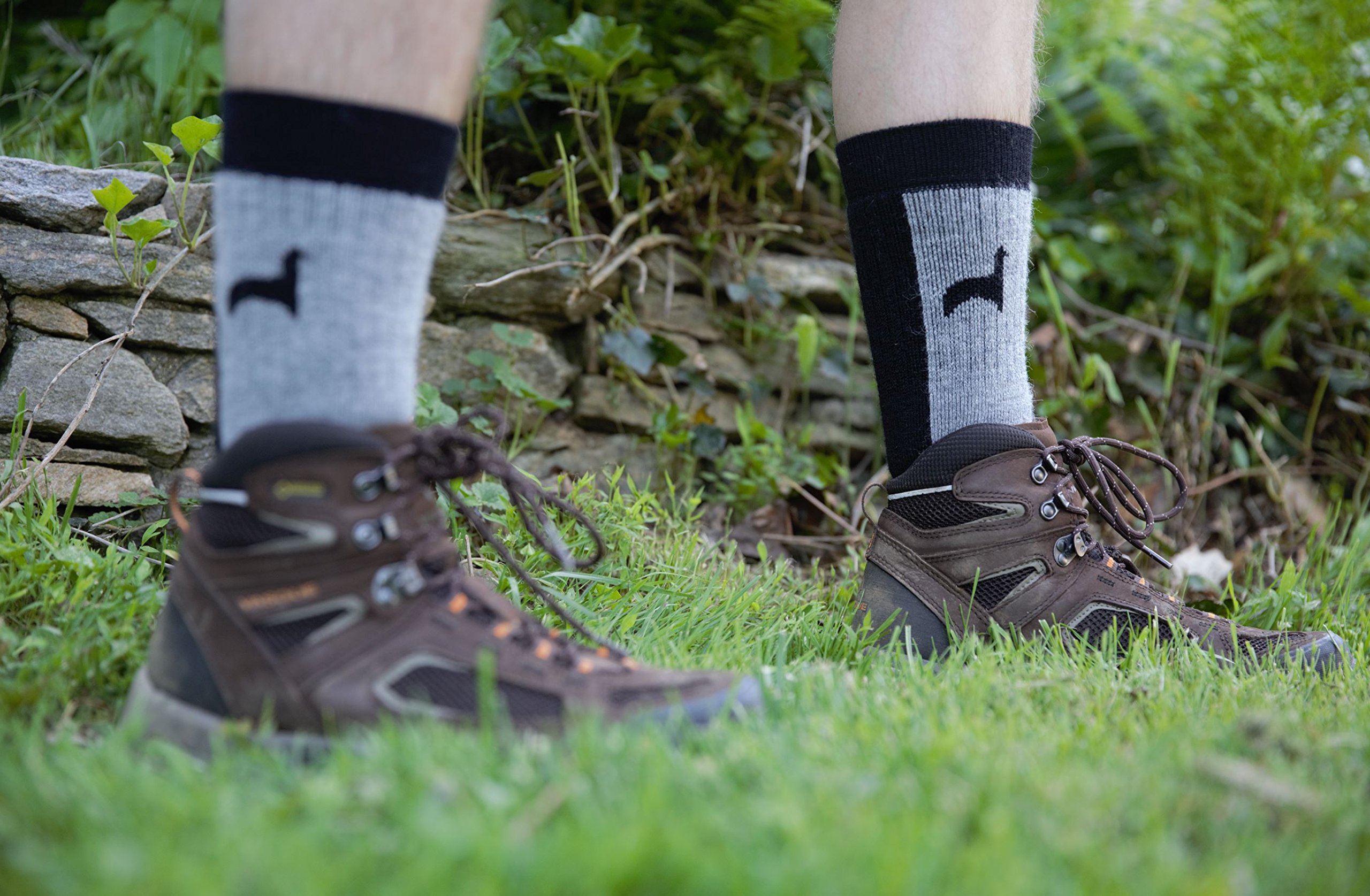 Peruvian Link Alpaca Hiking Socks Treated With Aloe Vera (Black/Silver, Large)