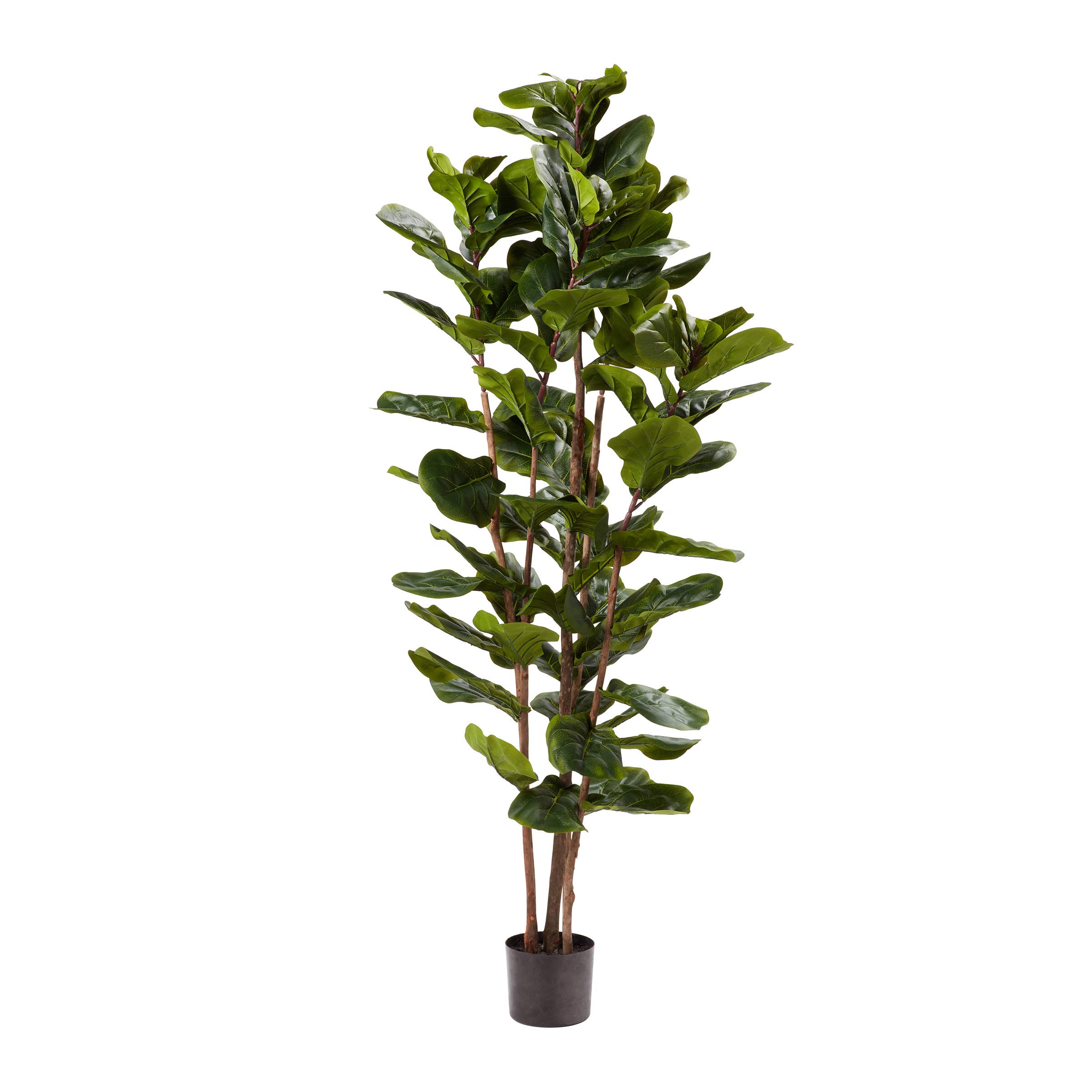 Pure Garden Artificial Fiddle Leaf Fig Tree-6FT Fake Plant with Pot and Natural Feel Leaves for Home or Office Decor, 72", Green