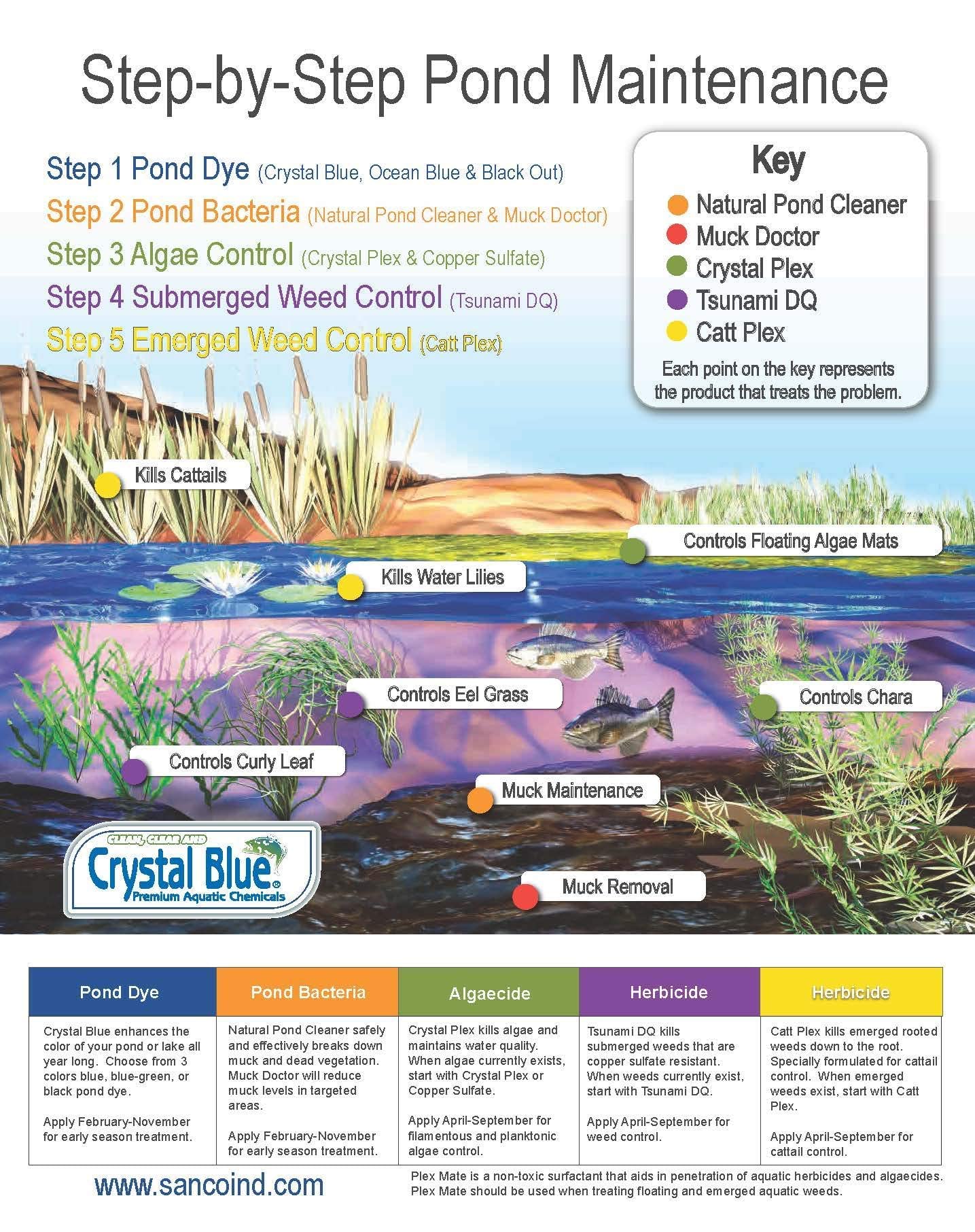 Pond Champs Blue Pond Dye and Pond Cleaner- 1 Gallon of Each