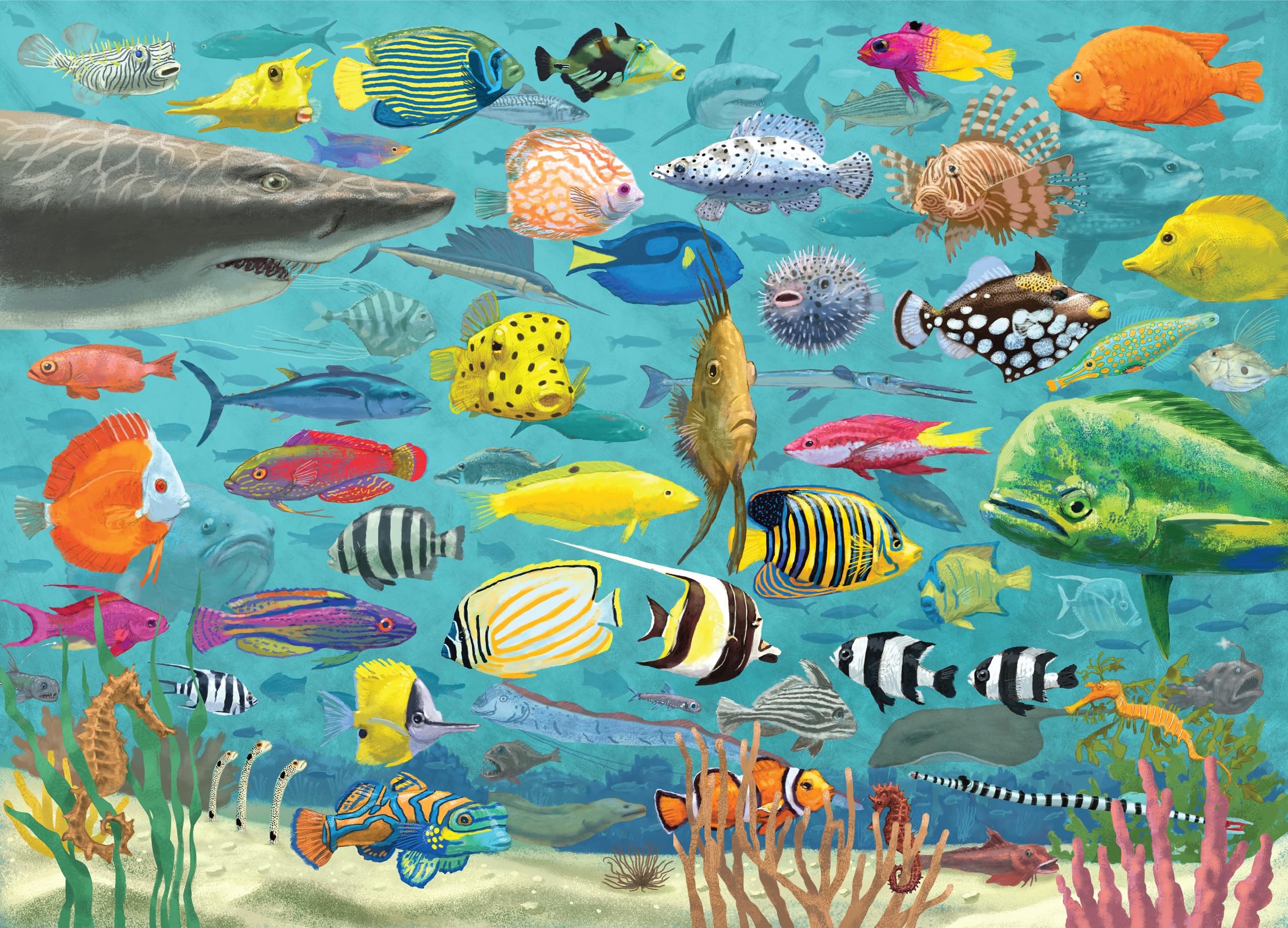 PETER PAUPER PRESS All The Fish 1000 Piece Jigsaw Puzzle