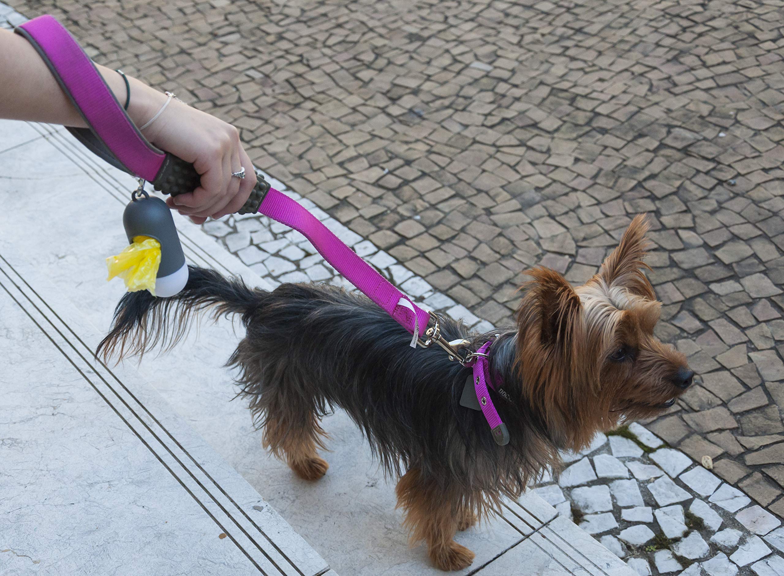 Petmate Dogzilla Leash, Blue, 1" x 2'