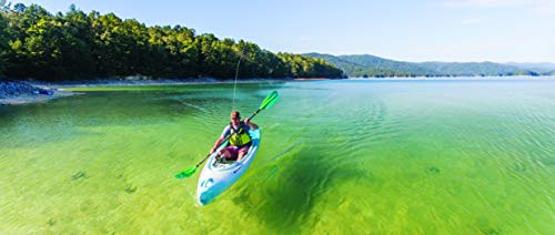 Perception Kayaks Sound 10.5 | Sit Inside Kayak for Fishing and Fun | Two Rod Holders | Large Rear Storage | 10' 6" | Dapper