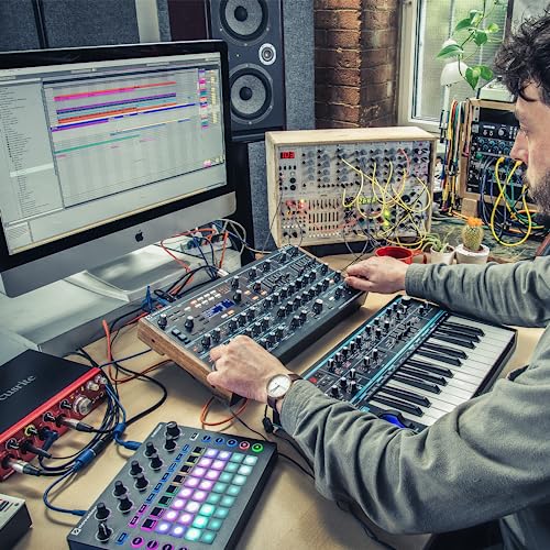 Novation Peak 8-Voice Desktop Polyphonic Synthesiser with 2 LFOs per voice, 16-slot modulation matrix, 3 analogue distortion points, and digital effects