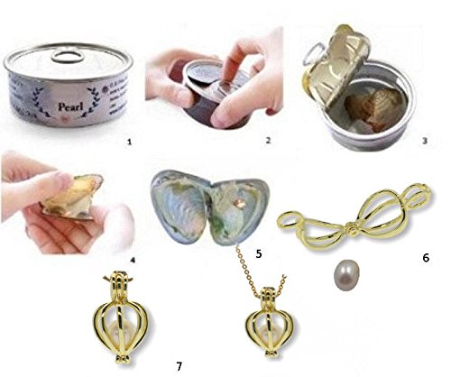 Pearlina Cultured Wish Pearl in Oyster Necklace Set Gold Plated Cage Locket w/ Stainless Steel Chain 18"