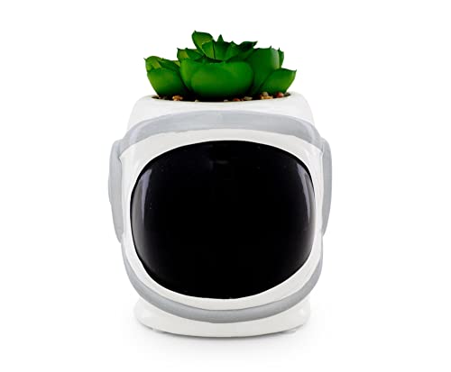 Silver Buffalo NASA Astronaut Decorative Artificial Faux Greenery Plant in Ceramic