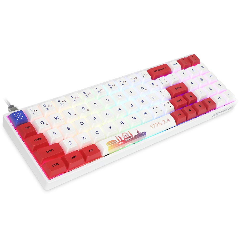 SKYLOONG GK71 71 Keys Mechanical Gaming Keyboard Dye Sublimation PBT Doubleshot Keycaps RGB Backlight Hot Swappable Wired Mechanical Keyboard (Blue Switch)