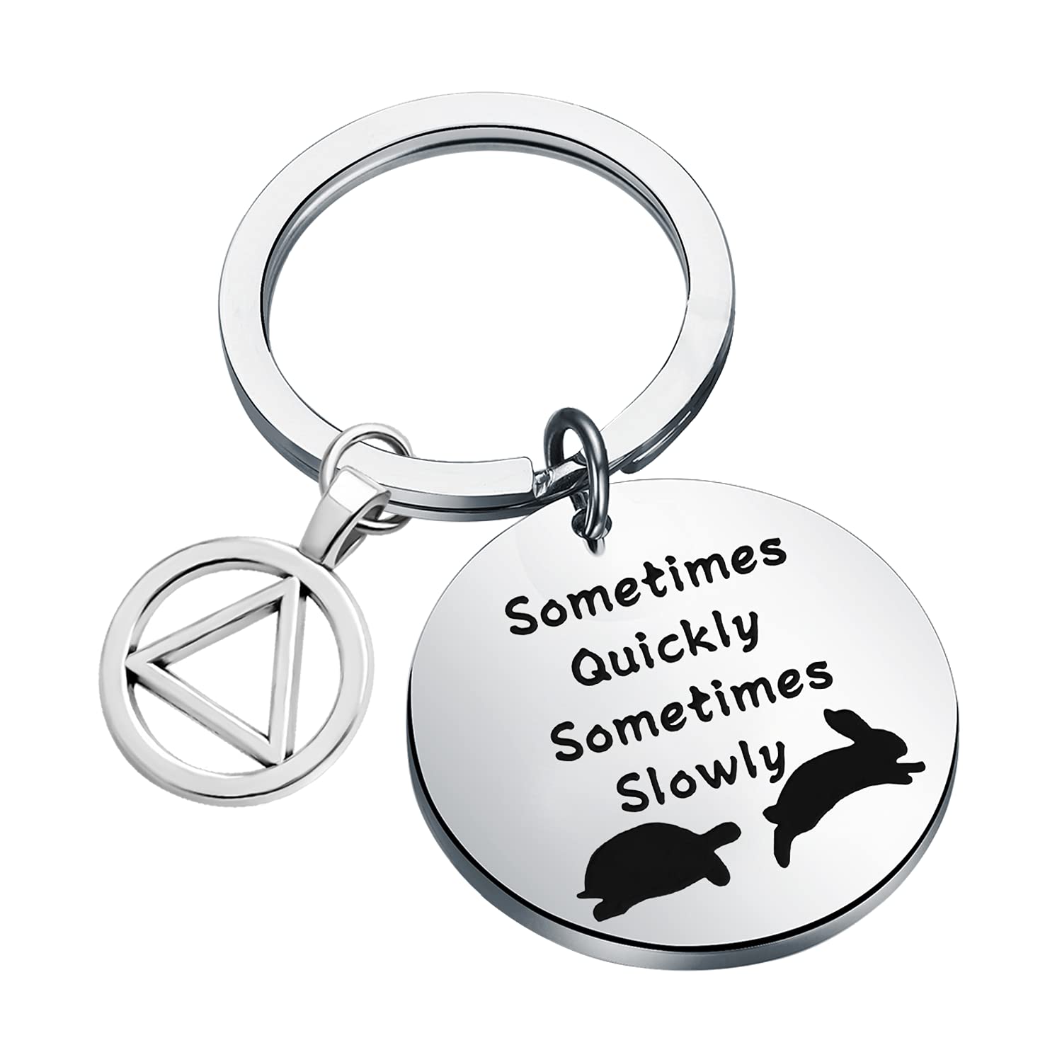 TIIMG Tortoise and Hare Sobriety keychain AA NA Inspirational Gift 12 Step Gifts New Beginning Gift (Sometimes Quickly)