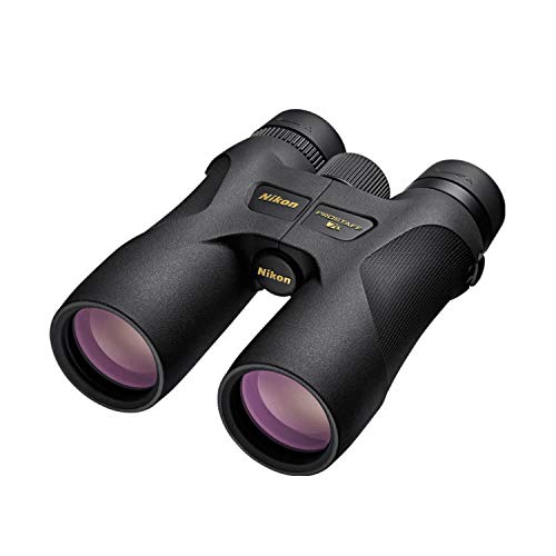 Nikon 16003 10x42 ProStaff 7S Binoculars All-Terrain Waterproof and Fogproof (Black) Bundle with Lens Harness & Case