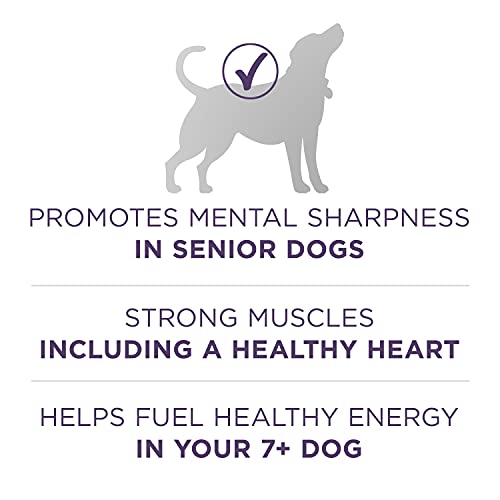 Purina ONE High Protein Dry Senior Dog Food Plus Vibrant Maturity Adult 7 Plus Formula - 31.1 lb. Bag