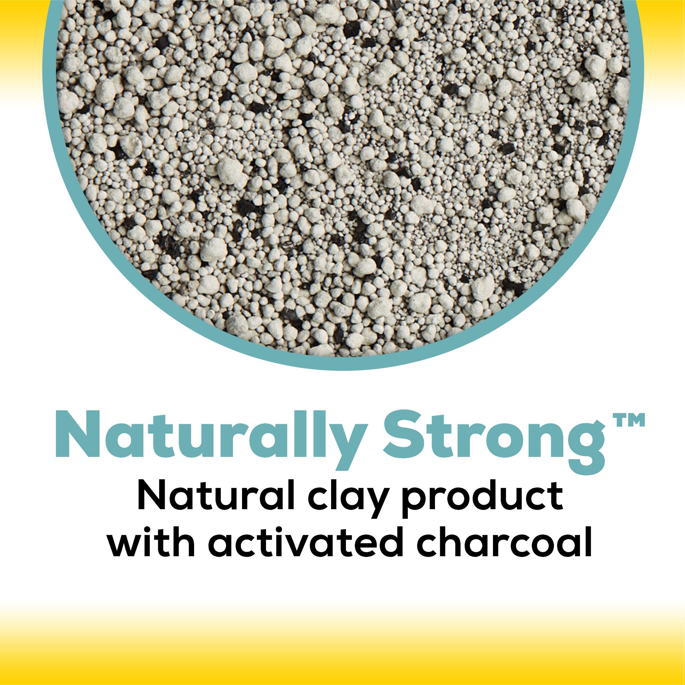 Purina Tidy Cats Unscented, Clumping, Natural Cat Litter, Naturally Strong Clay Multi Cat Litter - (4) 12 lb. Bags