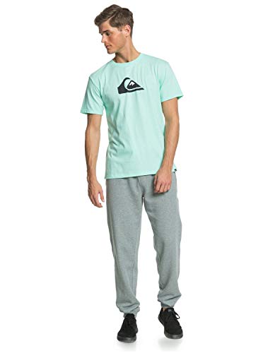 Quiksilver Men's Comp Logo Short Sleeve Tee Shirt, Beach Glass, XXL