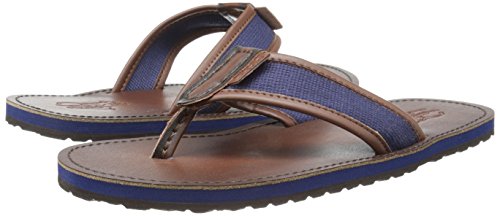 POLO RALPH LAUREN Men's Sullivan Flip Flop, Newport Navy/Dark Brown, 8 D US
