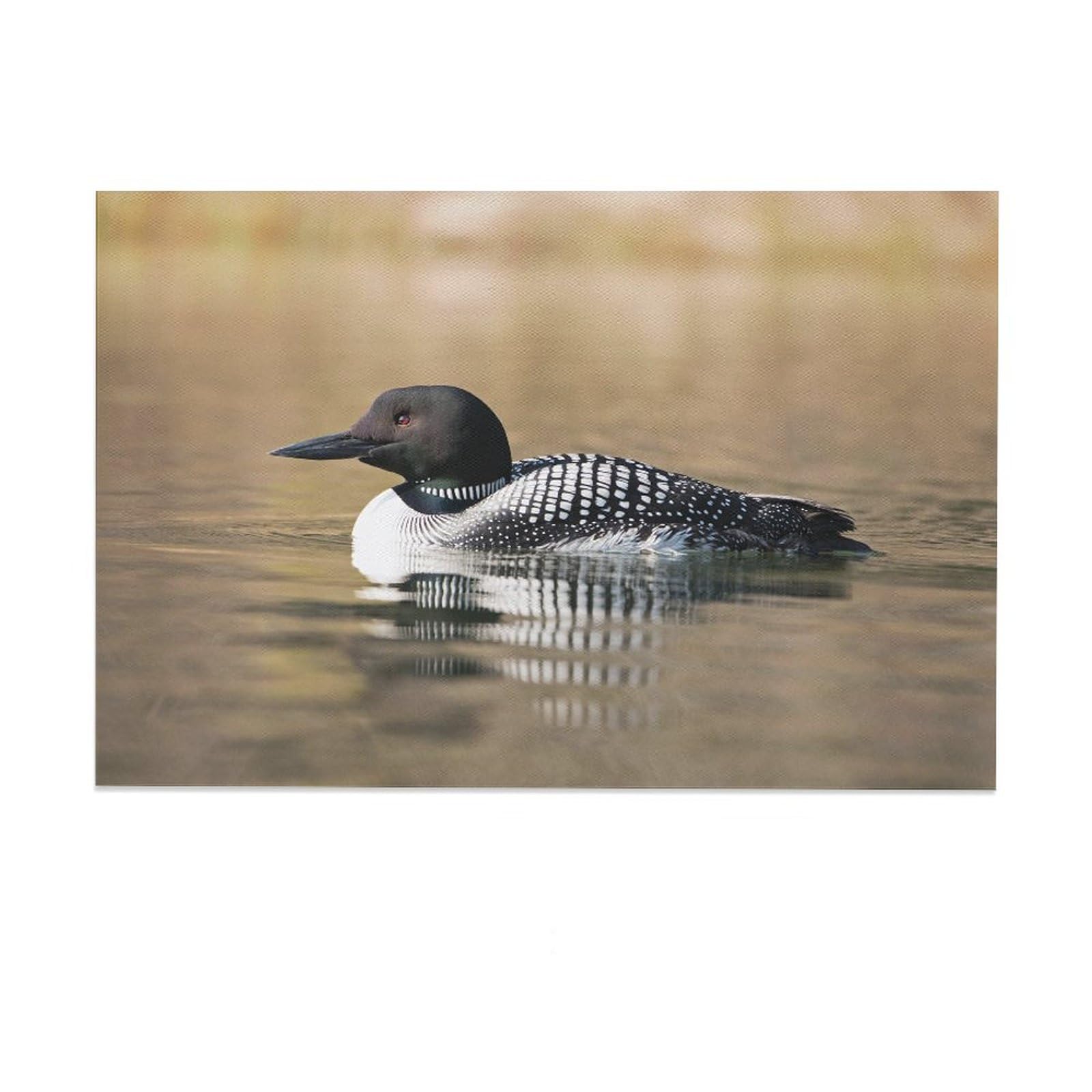 RCCER Common Loon Canvas Poster Bedroom Decor Sports Landscape Office Room Decor Gift,Canvas Poster Wall Art Decor Print Picture Paintings for Living Room Bedroom Decoration 08x12inch(20x30cm)