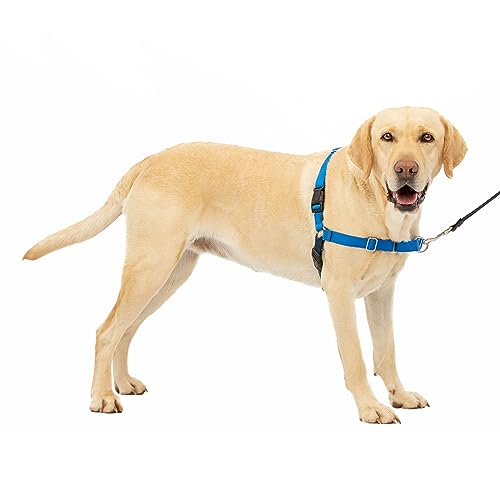 PetSafe Easy Walk Dog Harness - No Pull Dog Harness - Large, Royal Blue