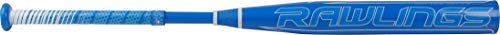 Rawlings 2021 Mantra Fastpitch Softball Bat Series, 33 inch (-10)