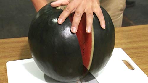 SeedsUP - 30+ Black Beauty Watermelon - Fruit seeds.