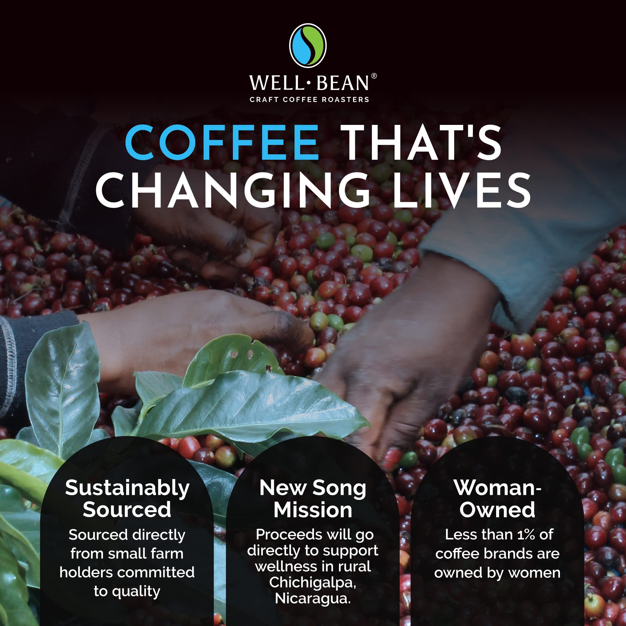 Well-Bean Coffee - Better Half Ground Coffee, Half Caff Coffee Blend, Swiss-Water-Processed Coffee Ground, Vegan Half Decaf Coffee Ground, Lightly Roasted Coffee, 12 oz