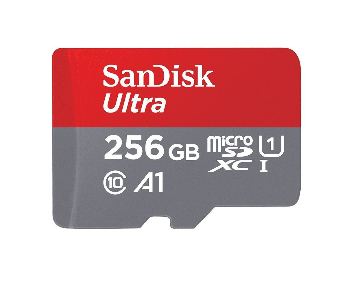 SanDisk 256GB Micro SDXC Ultra Memory Card Class 10 UHS-1 Works with Nintendo Switch Lite Gaming System (SDSQUAR-256G-GN6MN) Bundle with (1) Everything But Stromboli Micro SD Multi-Slot Card Reader