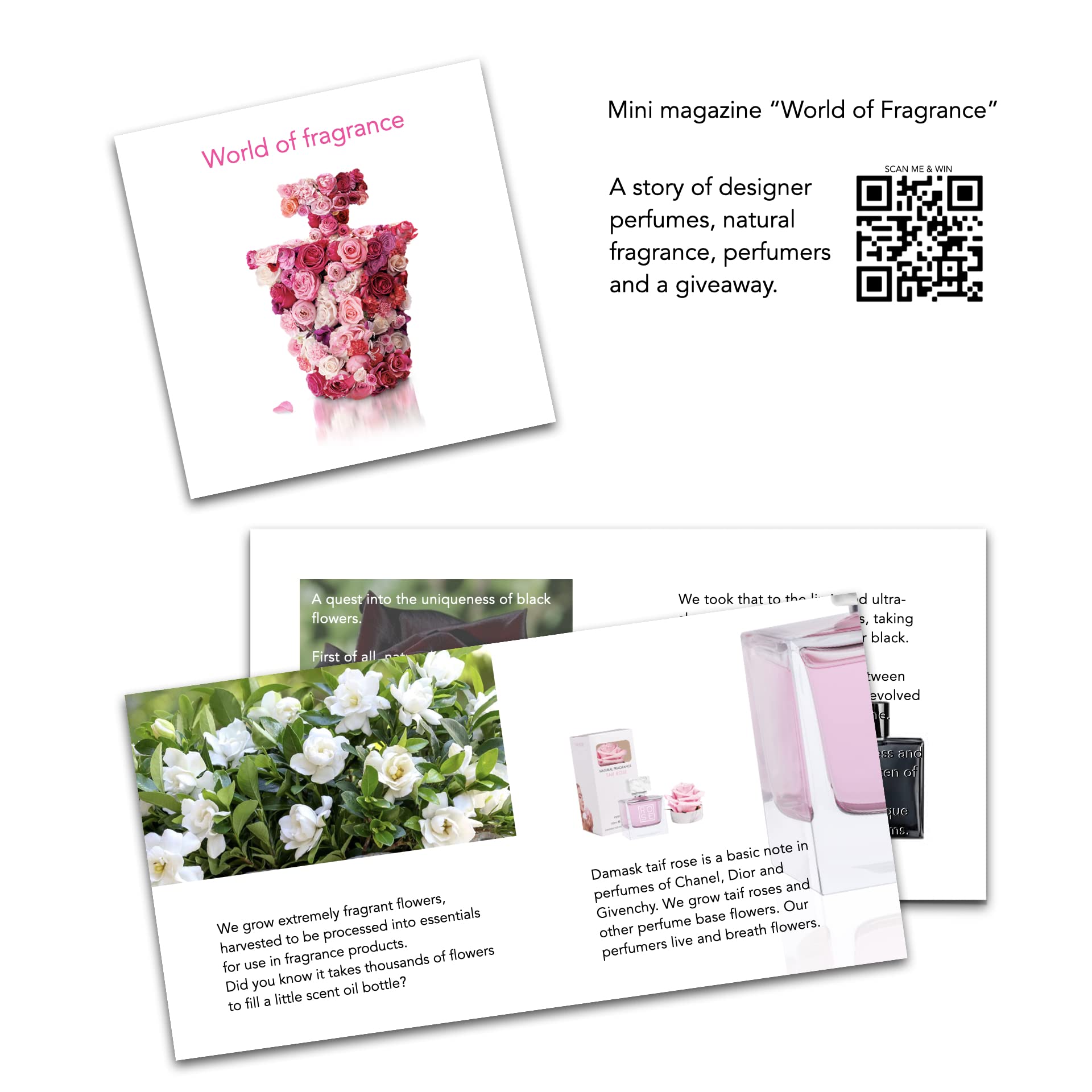 Natural Fragrance Eau de Parfum 3.4 Fl Oz | Plus Its Base Note Flower Hydrated To Last Months | Taif Rose Perfume