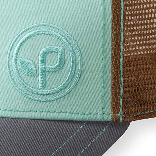 Pistil Women's Buttercup Trucker Hat, Mint, One Size