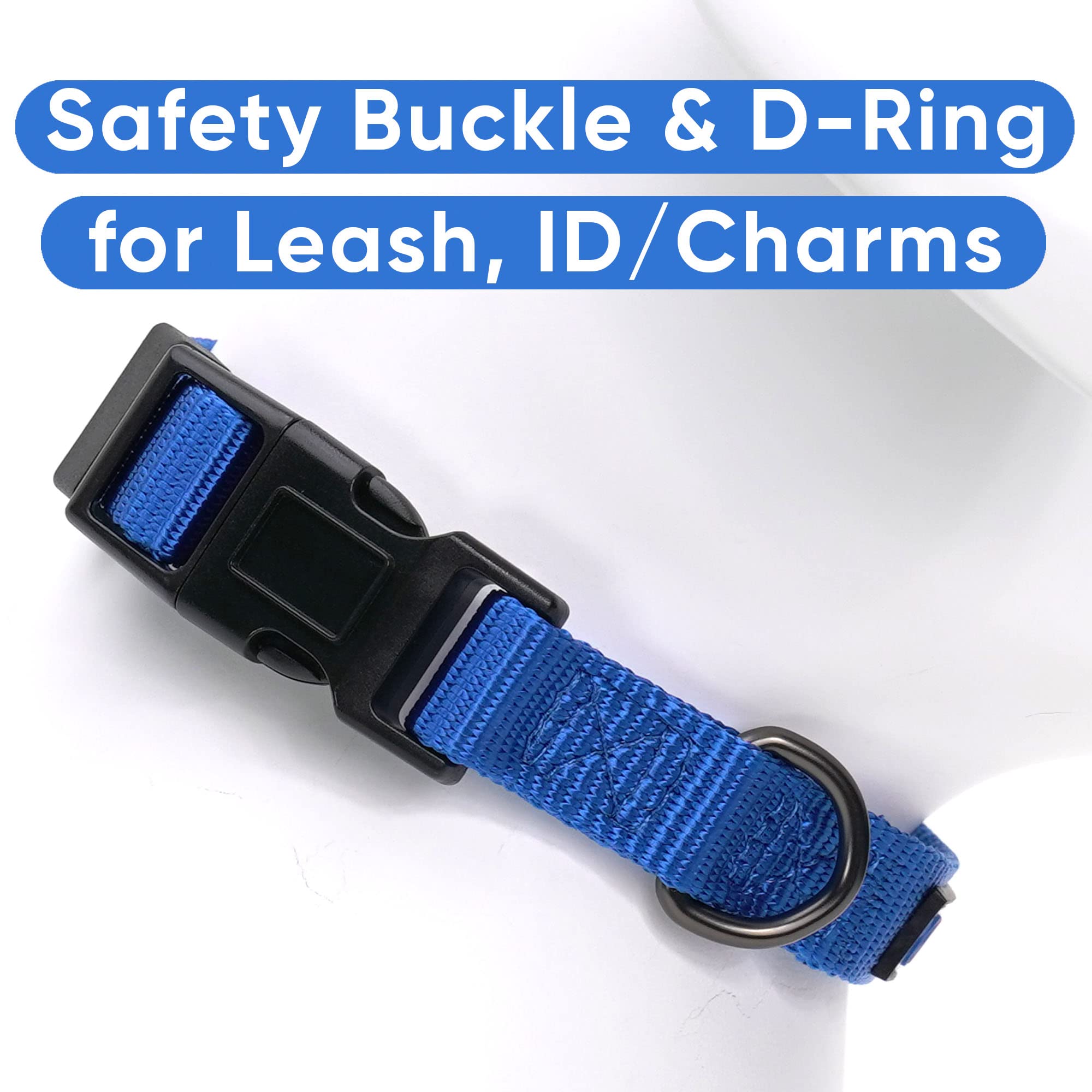 Pawtitas Dog Collar for Extra Small Dogs Adjustable Dog Collar Heavy Duty Waterproof Collars for Dogs with Quick-release Buckle - Blue Dog Collar for Extra Small Breeds