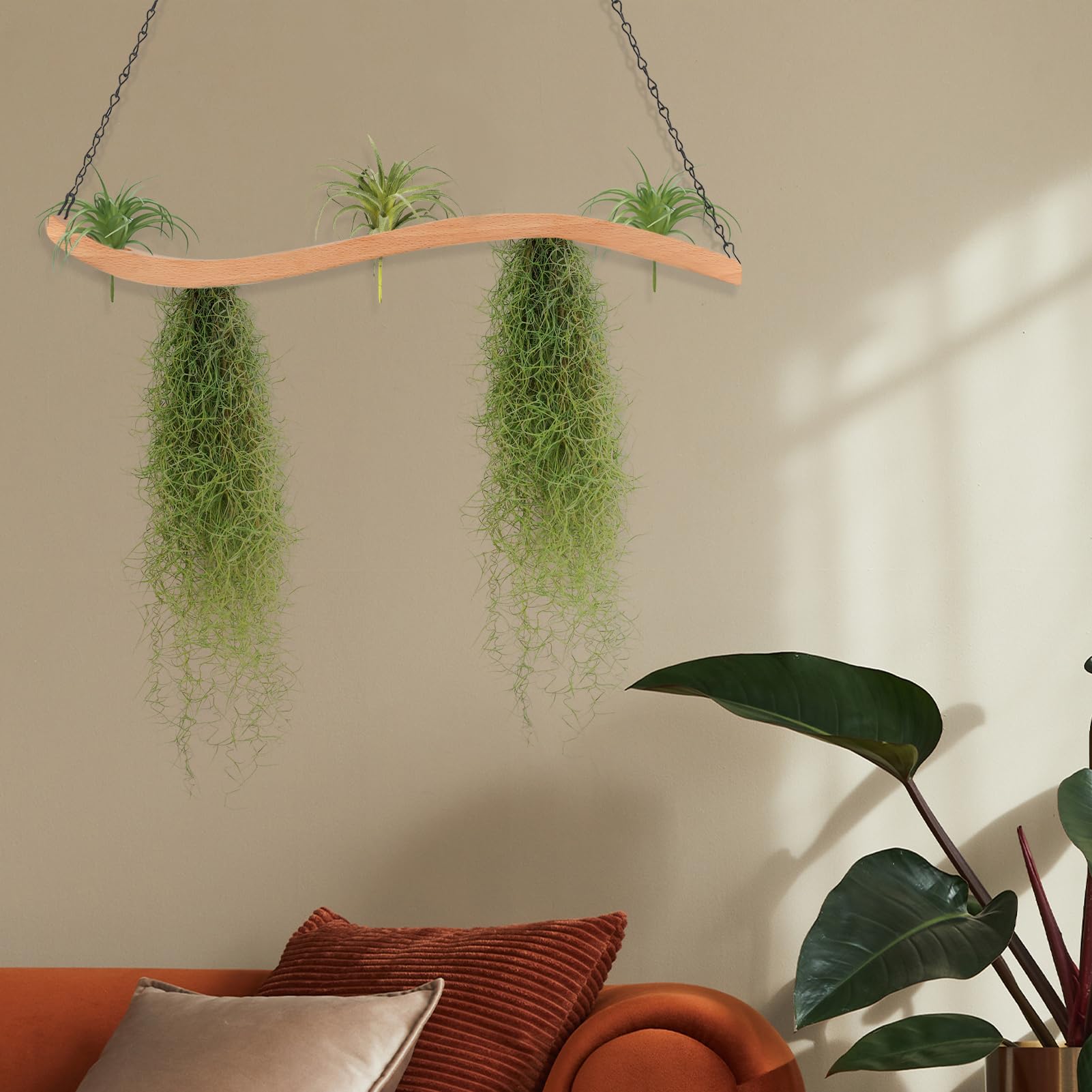 Perfin 2 PACK Wavy Wood Air Plant Holders Unique Hanging Airplant Holders Wall Display For Air Plants Live Indoor Plants Home Office Wall Decorโฆ