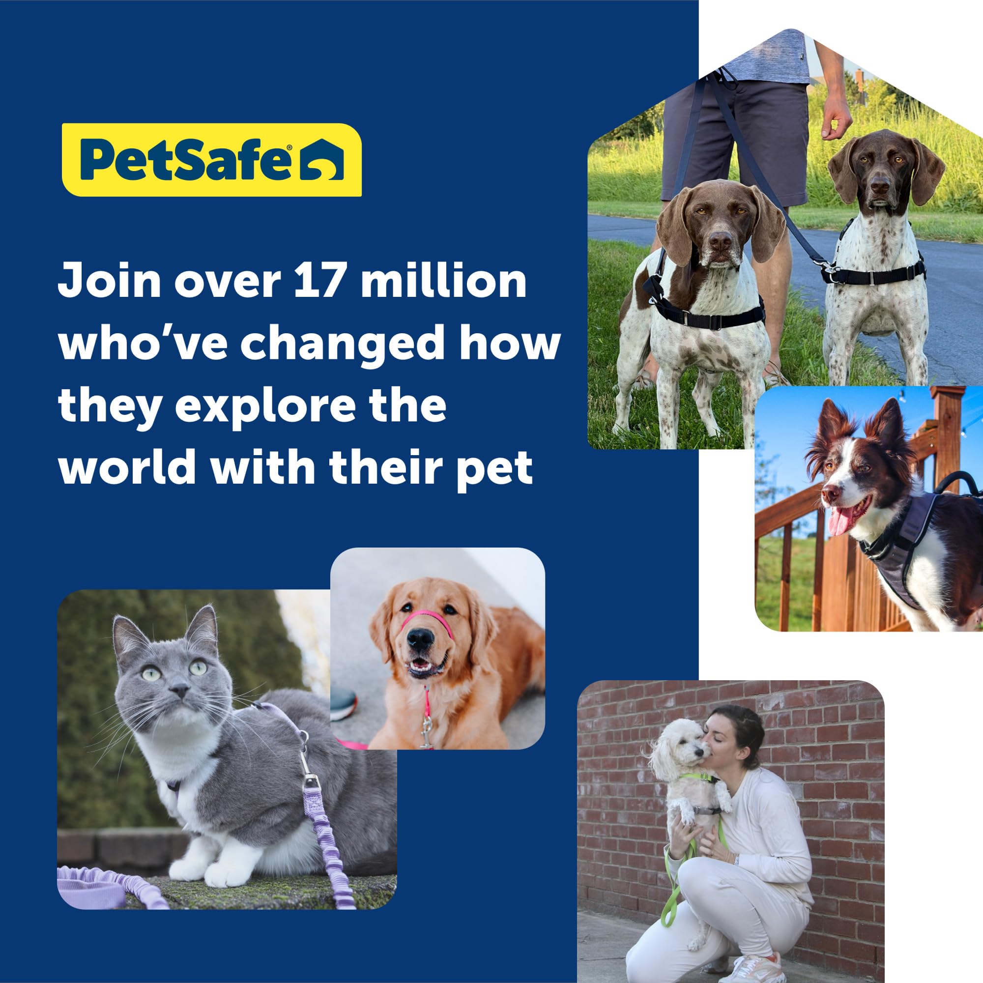 PetSafe 3 in 1 Dog Harness - No Pull Solution for Dogs - Reflective Dog Harness - Front D-Ring Clip Helps Stop Pulling - Comfortable Padded Straps - Top Handle Enhances Control - Plum - Extra Small