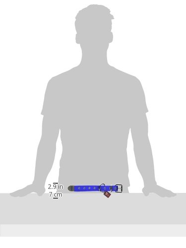 Petmate Dogzilla 1" x 16-26" Collar, Blue, Large