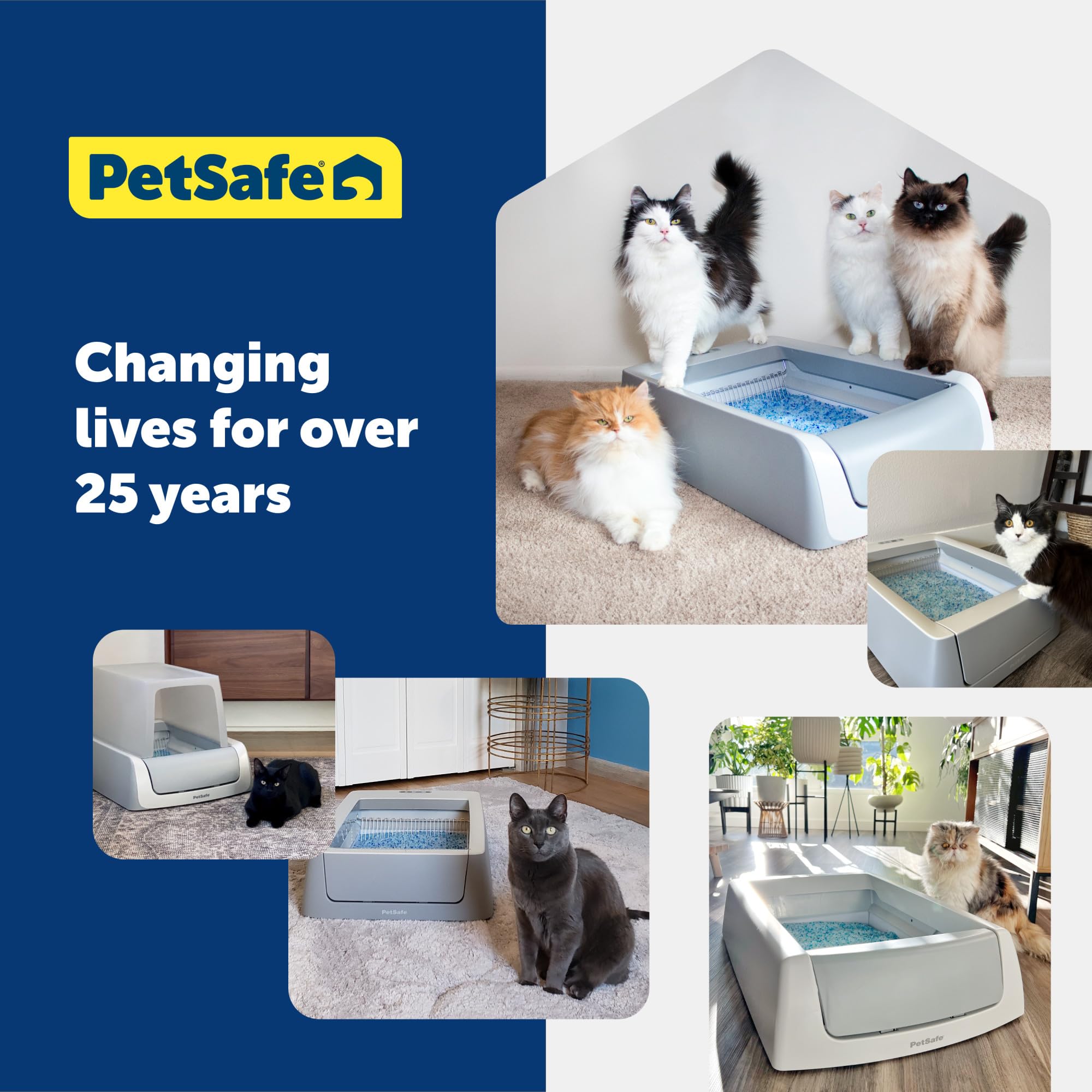 PetSafe ScoopFree Crystal Cat Litter Tray Refills β Lavender Scent, 3-Pack β Disposable Tray β Includes Leak Protection & Low Tracking Litter β Absorbs Odors on Contact