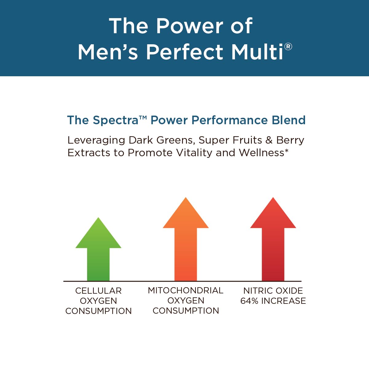 Purity Products Men's Perfect Multi from Vitamins, Minerals and Phytonutrients - Promotes Energy, Vitality and Stamina - Easy to Swallow - 90 Tablets