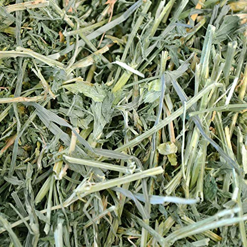 Oxbow Animal Health Alfalfa Hay - All Natural Hay for Young, Pregnant, or Nursing Small Pets - 9 lb.