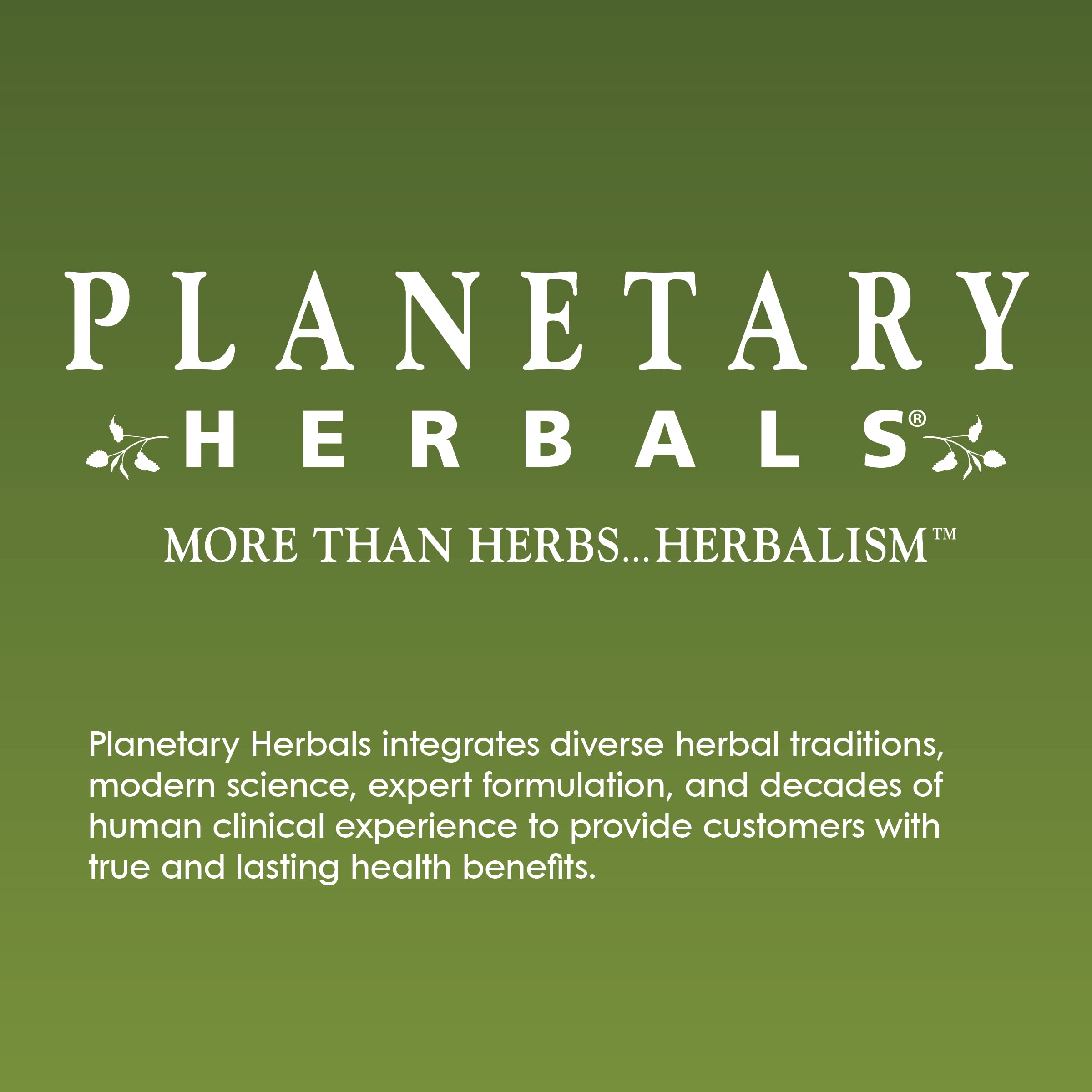 Planetary Herbals Triphala 1000mg - 90 Tablets