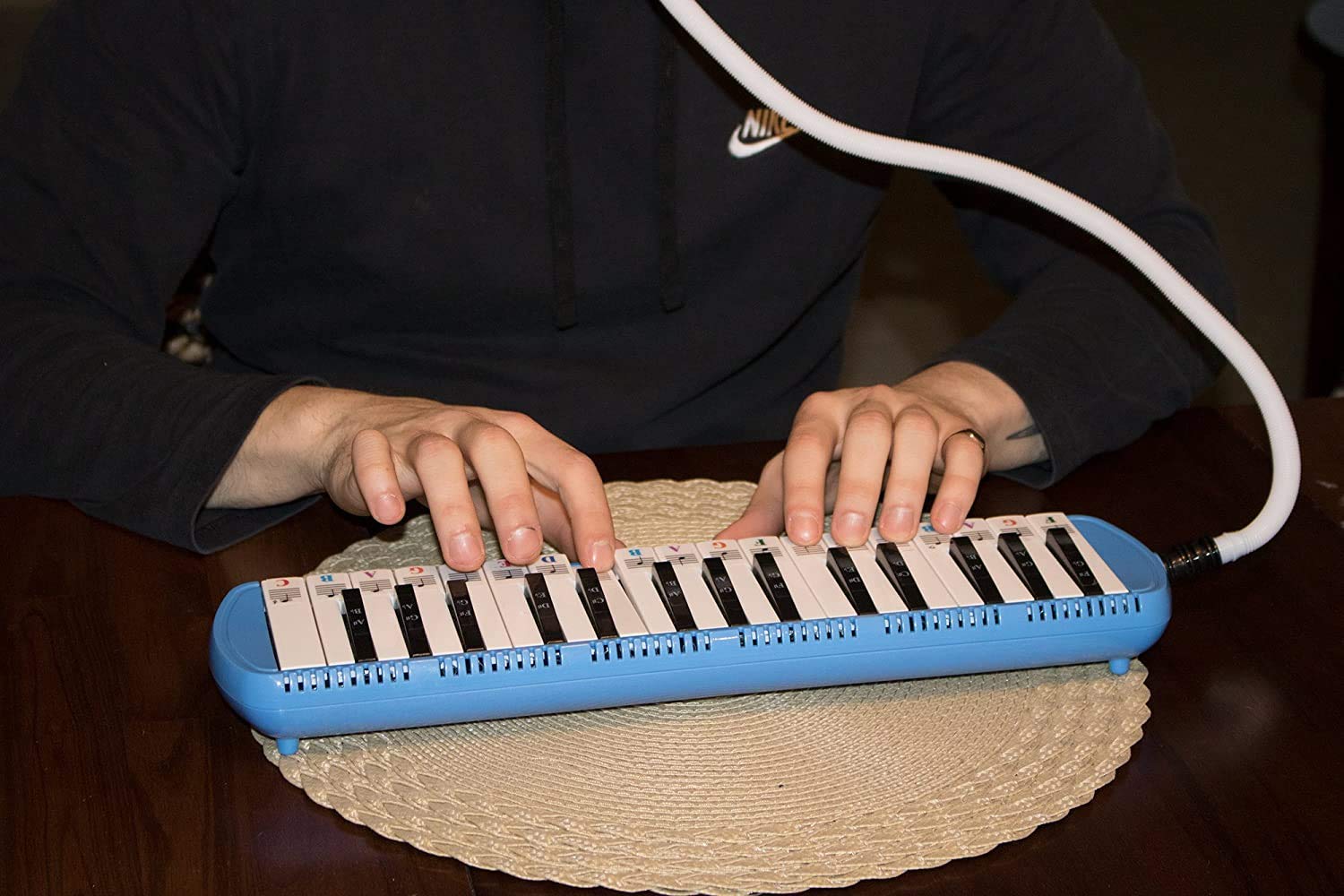 QMG Melodica 32 Keys with Piano Stickers, Hard Cover Carrying Case, Mouthpiece