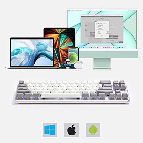 Qisan Mechanical Keyboard Gaming Keyboard Gateron Blue Switch Wired/Wireless Bluetooth Keyboard 68-Keys Mini Design(60%) PBT Keycap White/Gray Color for Gaming/Office Magicforce