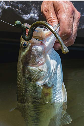 PowerBait Straight Money - PBSM7-MDS