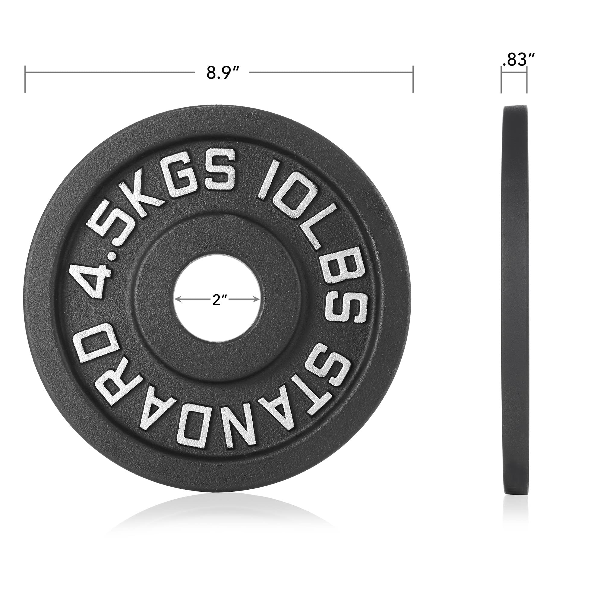 Philosophy Gym Set of 2 Standard Cast Iron Olympic 2-inch Weight Plates (10 LB each)