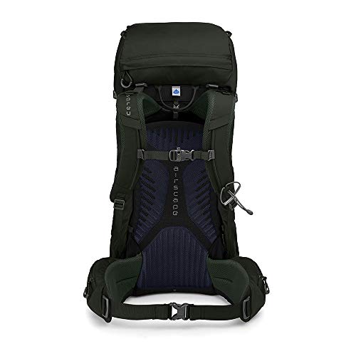 Osprey Kestrel 38 Men's Backpacking Backpack, Picholine Green, Small/Medium