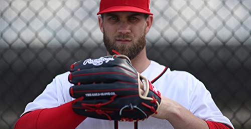 Rawlings | SELECT PRO LITE Youth Baseball Glove | Left Hand Throw | Bryce Harper | 12"