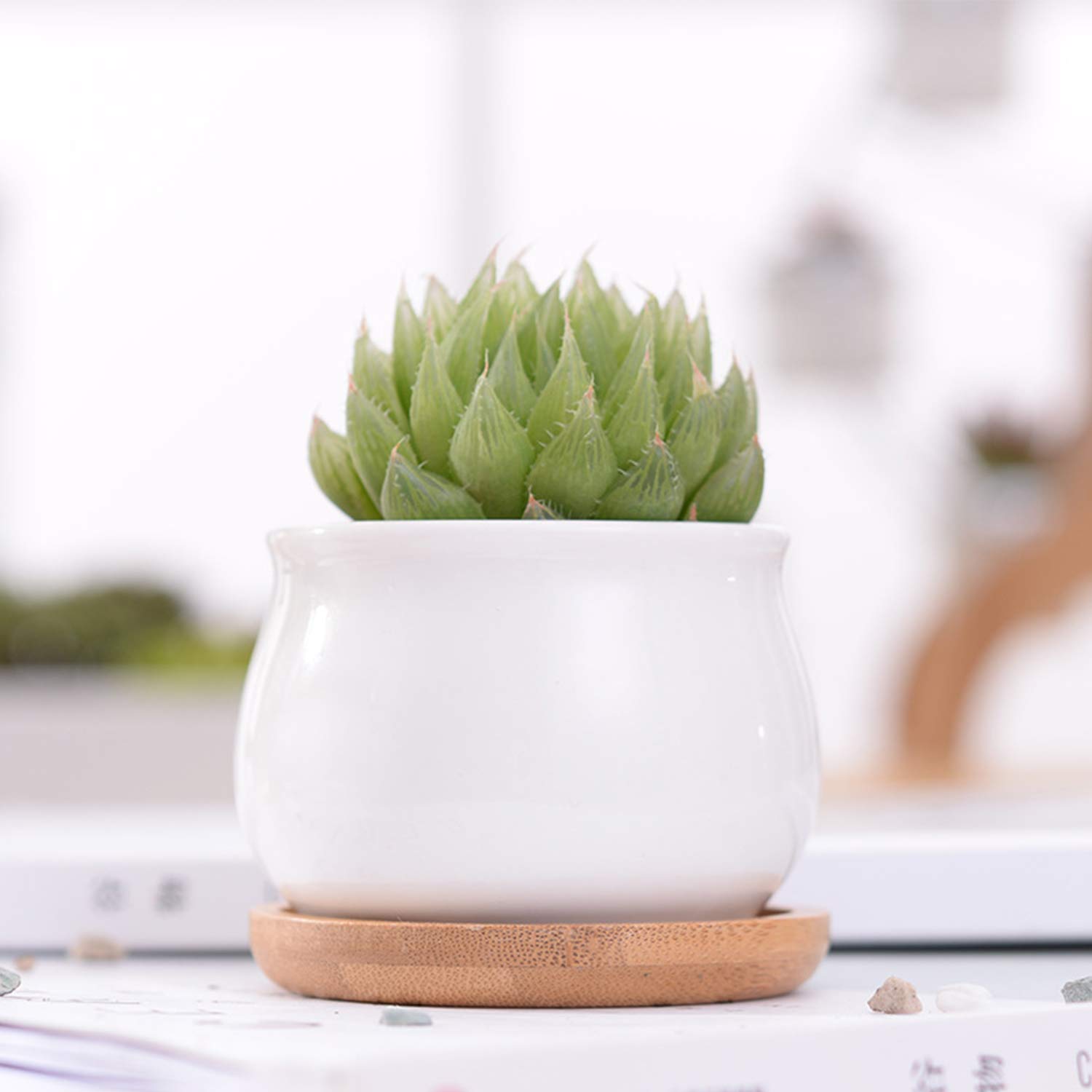 Succluent Pots ,Small Flower Pots Planter Pots with Drinage,Ceramic Flowers Pots with Bamboo Tray for Cactus(12 Pack