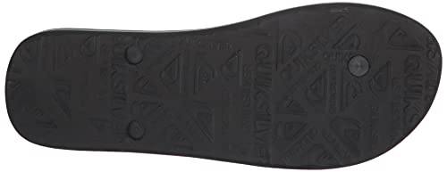 Quiksilver Men's Molokai Art Flip Flop Sandal, Grey 1, 8