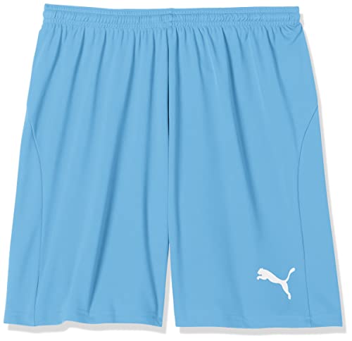 PUMA Men's LIGA Core Shorts, Silver Lake Blue/White, XL