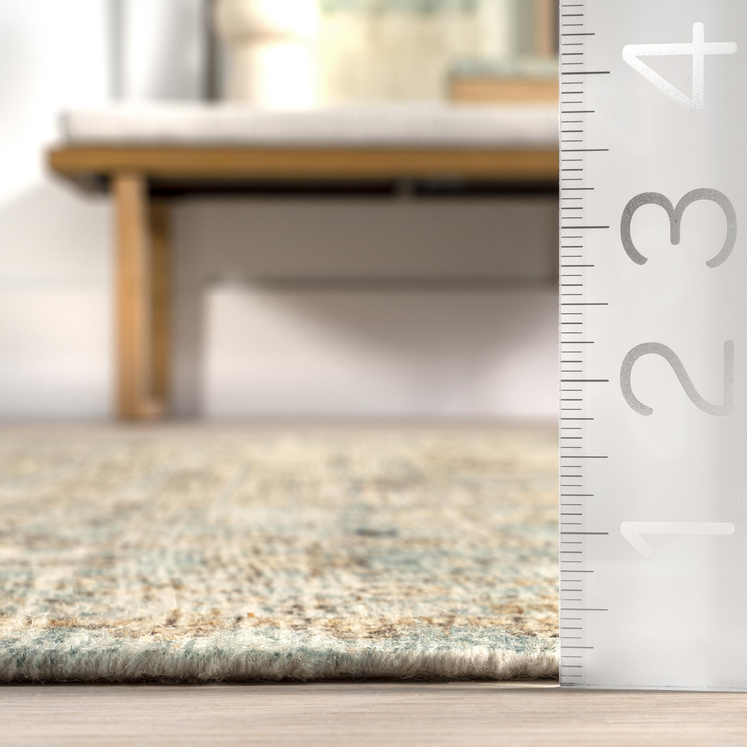 Rugs USA x Prabal Gurung Tilicho Distressed Wool Area Rug, 9x12, Light Green