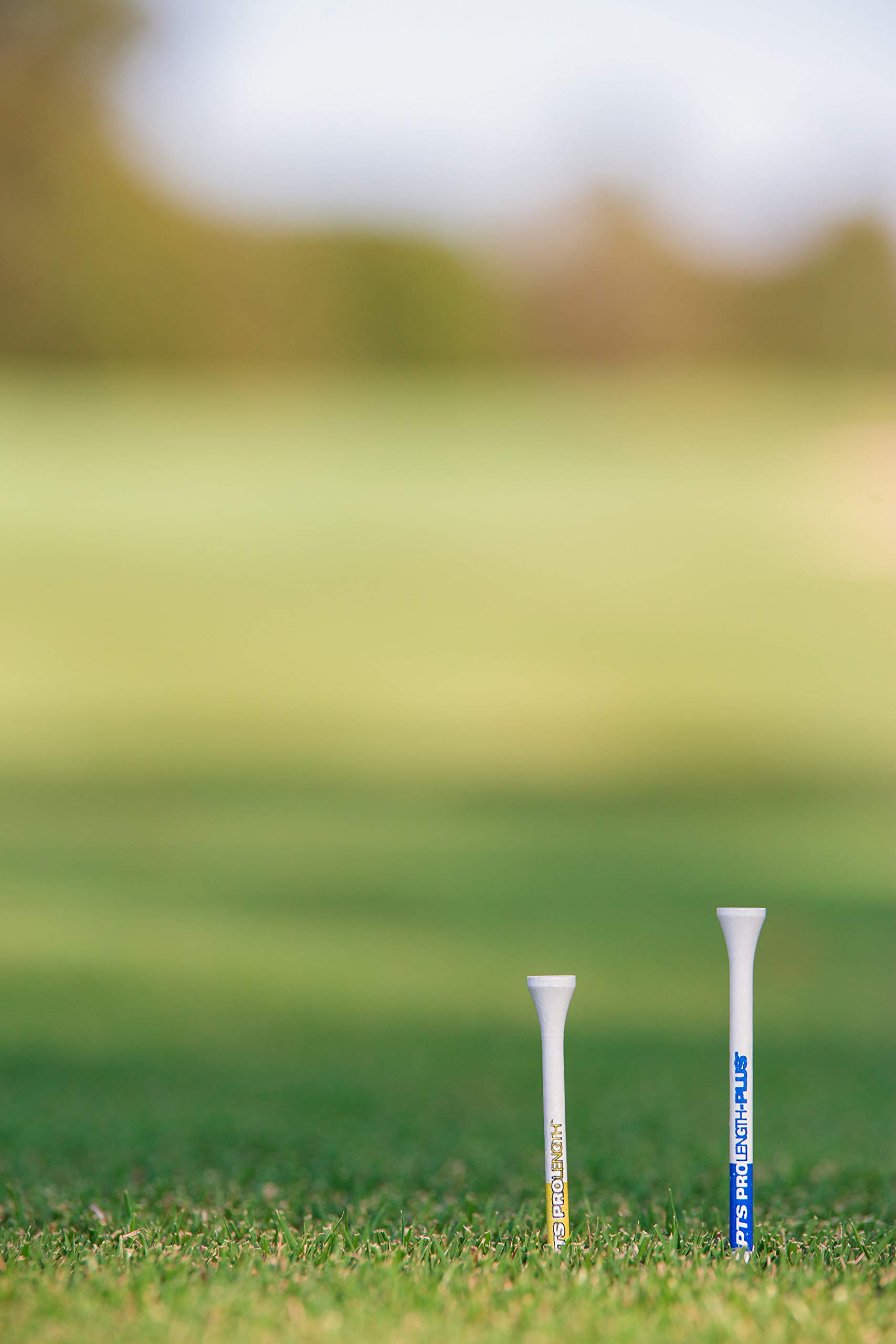 Pride Professional Tee System 2-3/4-Inch Micro Head Wood Golf Tee, White