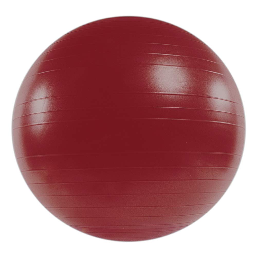 Power Systems Versa Ball Pro Stability Ball (Calypso Berry, 55cm)