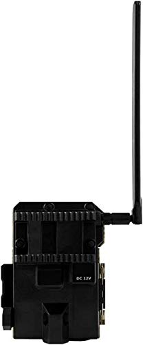 SPYPOINT Link-Micro-V Cellular MMS Trail Camera 4G LTE Lock Box, Power Kit, Long Range Antenna, Python Cable, 2 Year Camera Warranty