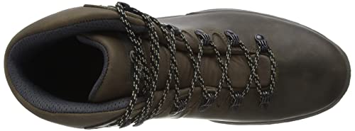SCARPA Terra GTX, Men's Hiking Boots, Brown Gore Tex Energy Ii, 5 1/3 UK (38.5 EU)