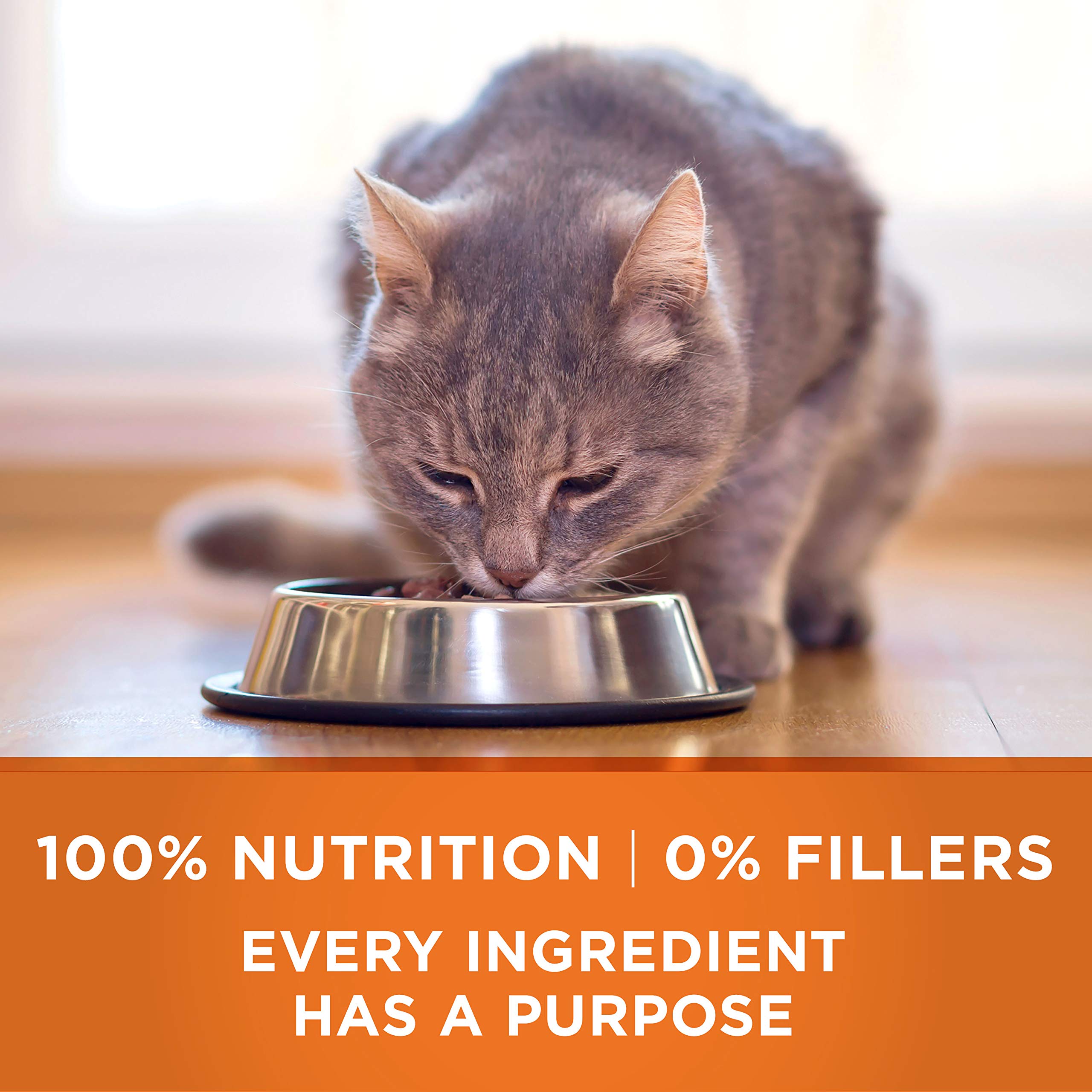 Purina ONE High Protein, Healthy Weight Dry Cat Food, +Plus Ideal Weight With Turkey - 7 lb. Bag